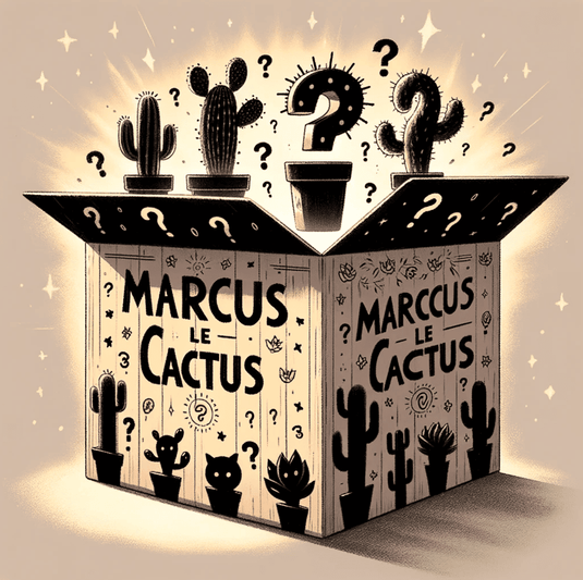 Marcus le cactus | La boutique officielle | Cactus spécial qui répète