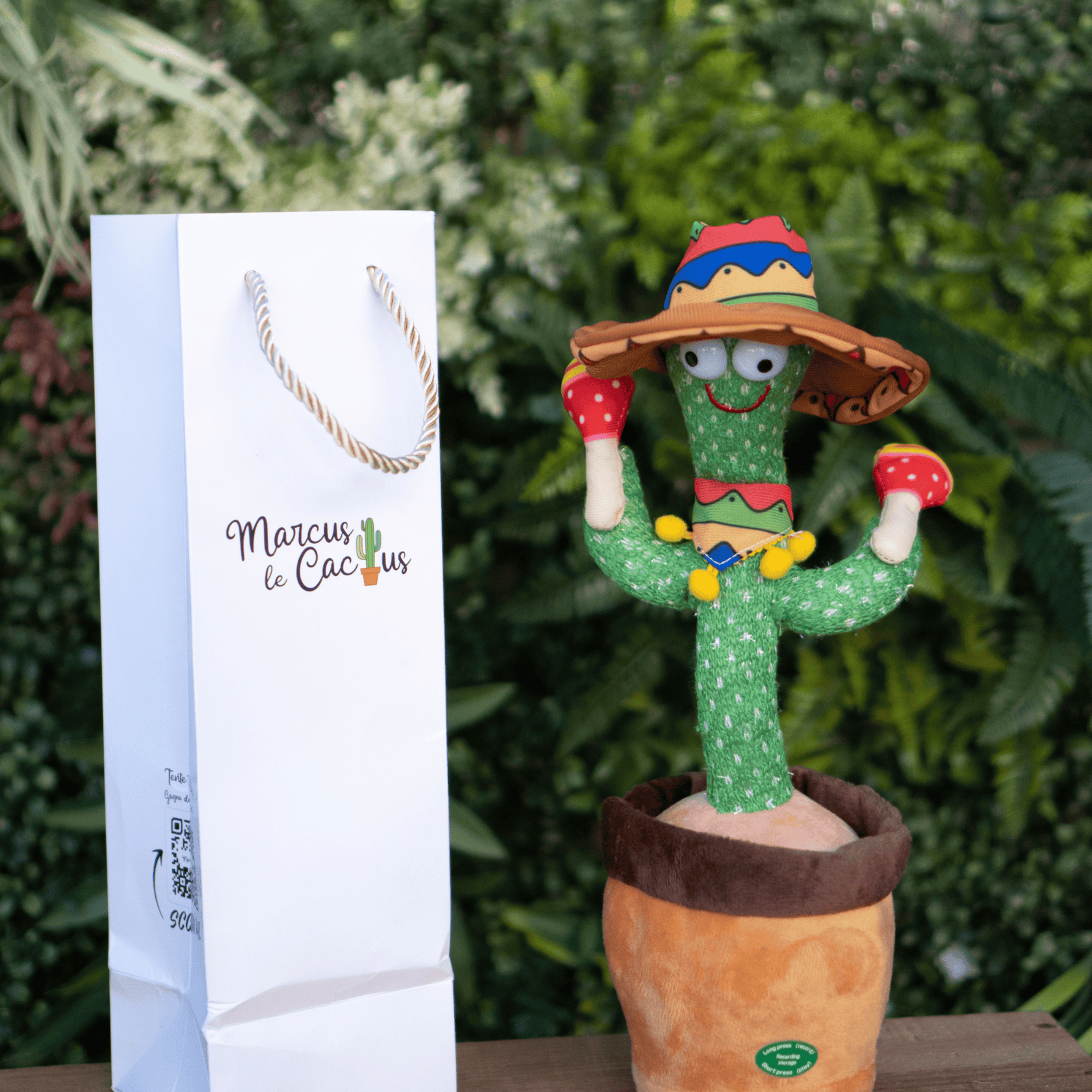 Marcus le Cactus™ | jouet cactus qui répète et chante pour enfant ...